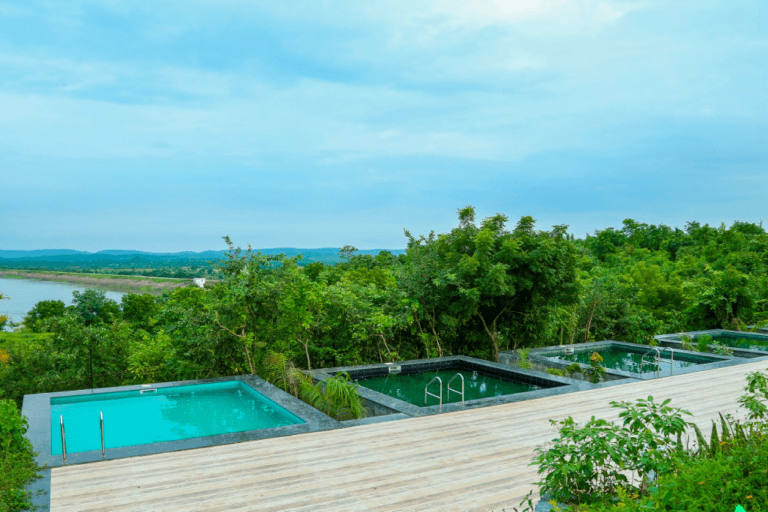 Dev Camp – Love Nature