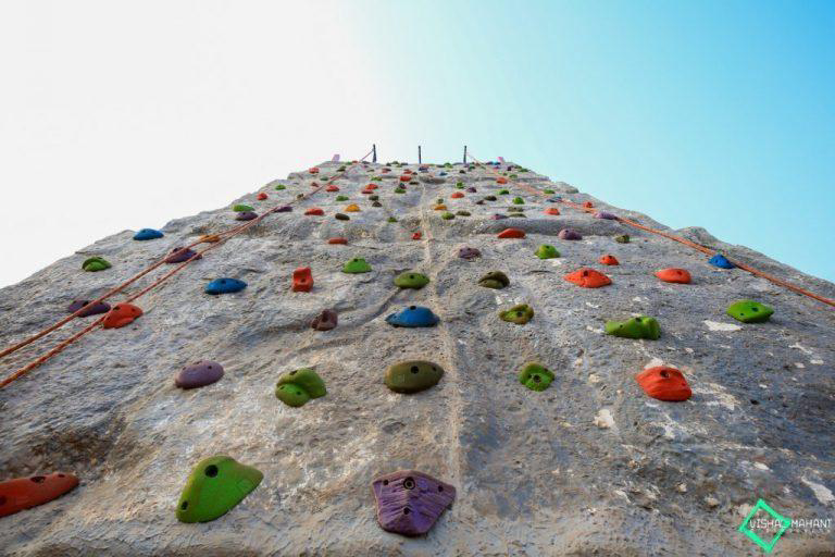 Dev Camp – Love Nature